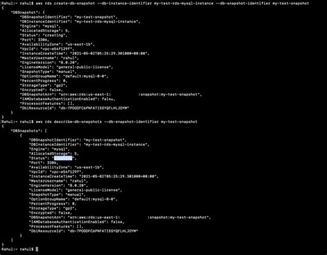 Cómo Administrar Una Instancia De Aws Rds Con Aws Cli Howtoforge