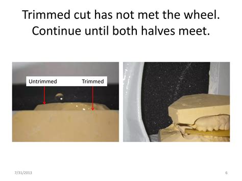 Study Models 101 Trimming PPTX