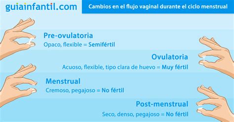 Todo Lo Que Debes Saber Sobre El Flujo Vaginal Con Fotos Reales My Xxx Hot Girl