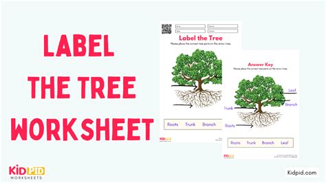 Label The Tree Worksheet Kidpid