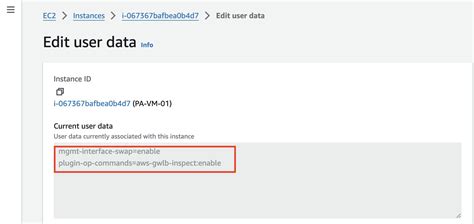 使用 Gateway Load Balancer 和 Palo Alto 防火墙实现集中的网络流量深度检测丨use Gateway Load Balancer And Palo Alto