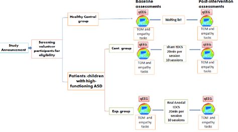 The Diagram Summaries The Whole Protocol From Participants Recruiting Download Scientific