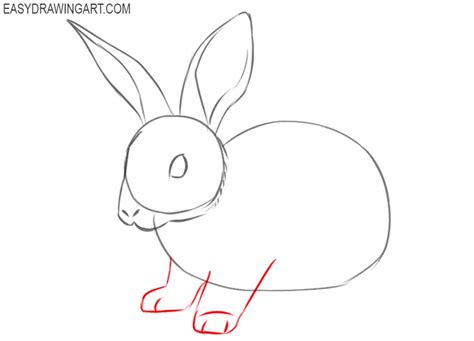 How To Draw A Rabbit Easy Drawing Art