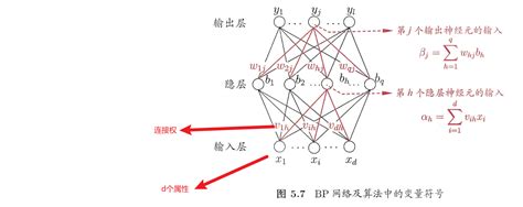 【西瓜书】5 神经网络 西瓜书 神经网络反向 Csdn博客