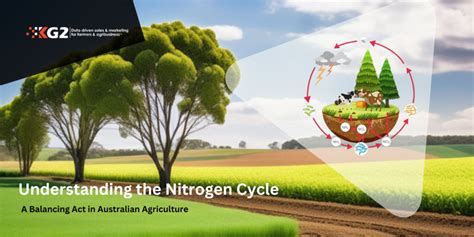 Understanding The Nitrogen Cycle A Balancing Act In Australian Agriculture Kg2