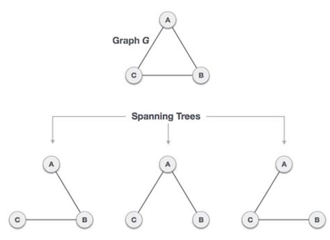 Non Linear Data Structure Graph Vines Log