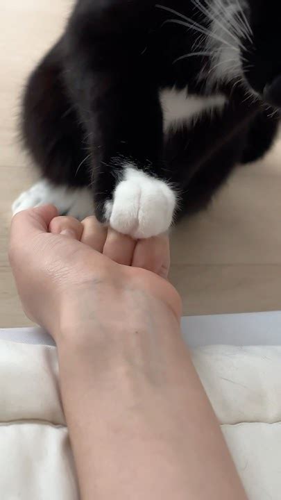 간식 먹기 힘드네 Youtube