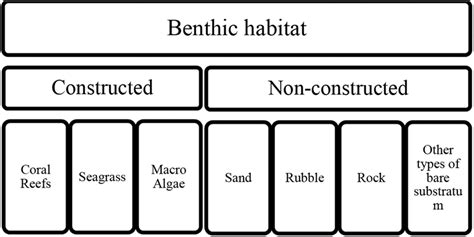 Benthic Habitats Classification Framework Of This Study Download