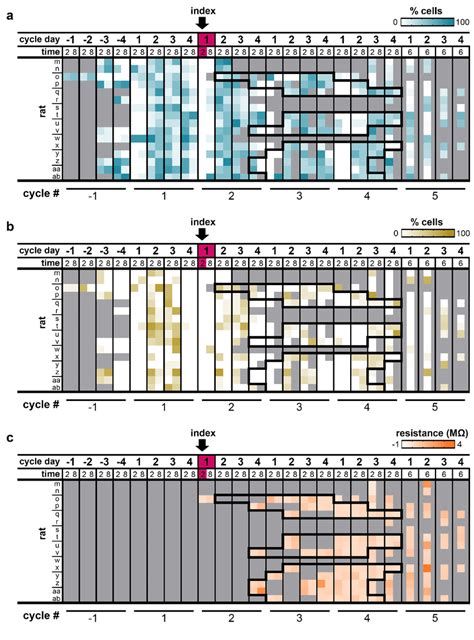 Supplemental Figure Quantified Reads Of Non Cornified Cell Types In Download Scientific