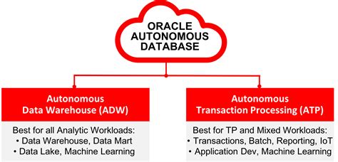 What You Can Expect From Oracle Autonomous Transaction Processing