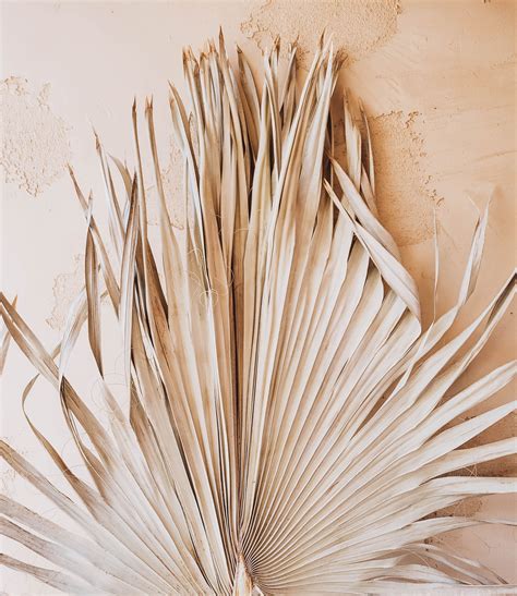 Diy Paper Palm Leaf Wall Art Tutorial
