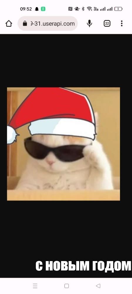 Создать мем крутые коты кот с очками мем кот с очками Картинки Meme