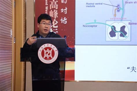 传统与现代的对话 中西医结合研究高峰论坛举行