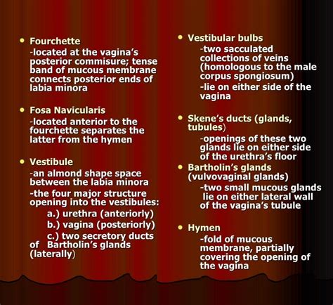 Posterior Fourchette Anatomy