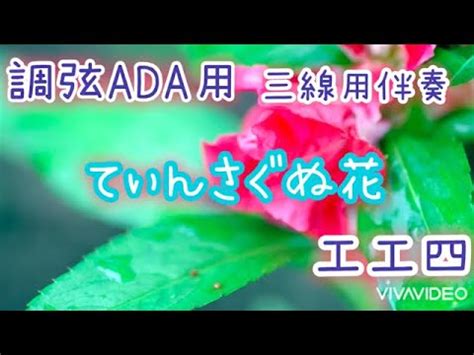 ADAてぃんさぐぬ花沖縄民謡三線調弦ADA用伴奏 弾き語り用簡単アレンジ工工四 YouTube