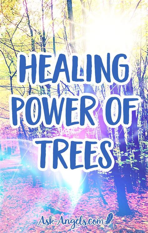 Healing Power Of Trees Manifesting Wealth Positive Thinking Healing Powers