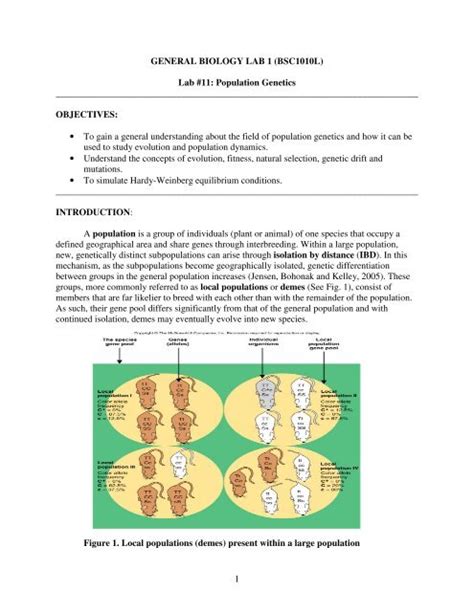 Lab 11 Population Genetics