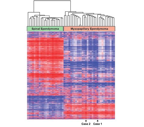 Unsupervised Clustering Of Dna Methylation Data Performed For Case 1