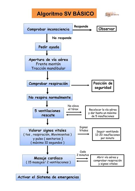 Pediatria 2012 Reanimacion 2010