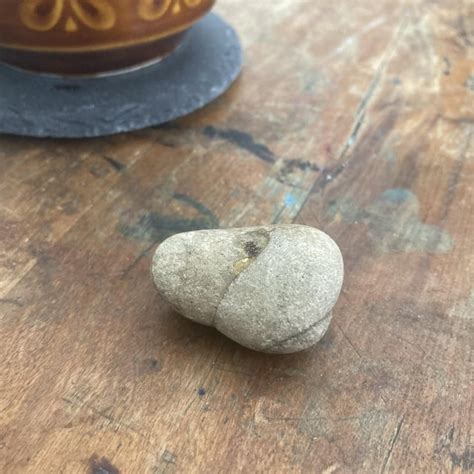 Is This A Snail Fossil Found In Garden Gravel R Fossils
