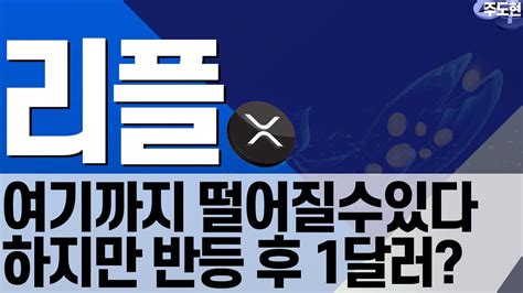 리플 이런걸 알아야 수익률이 커집니다 Youtube