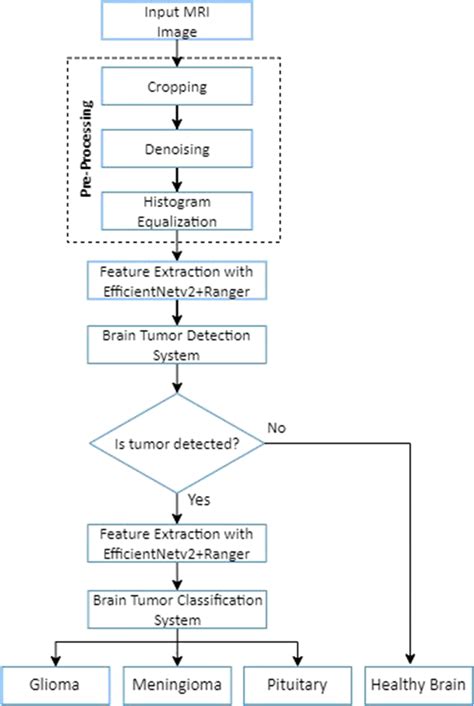 Flow Diagram Of Proposed System Download Scientific Diagram