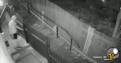 شب از خونه بیای بیرون و با این روبرو بشی فیلو