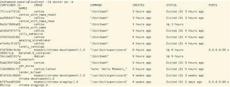 Learn Basic Docker Containers Manipulation By Examples Part 1