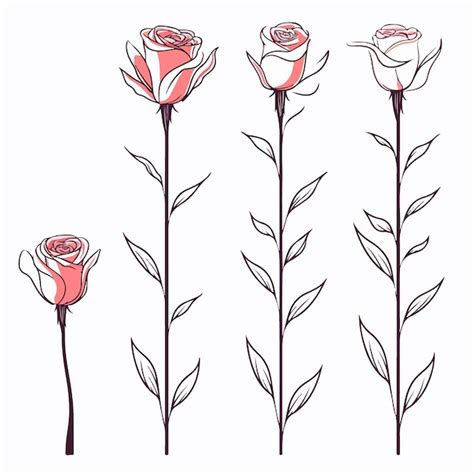 Premium Vector Contemporary Roses Artwork With Clean And Precise Lines