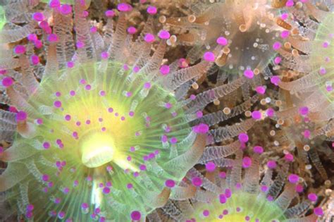 Below Chart Datum Gordon Fletcher