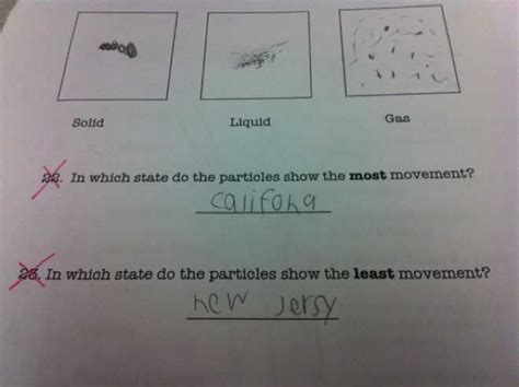 Understanding Wrong Answer Test And Its Impact