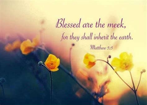 What Is Meant By Blessed Are The Meek For They Shall Inherit Earth