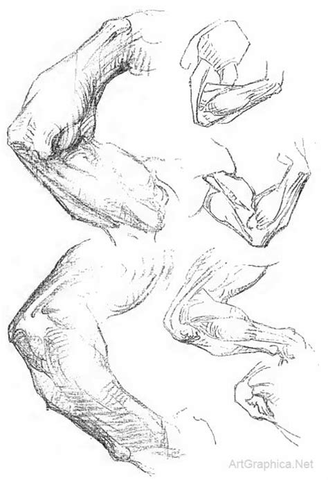 Bent Arm Reference