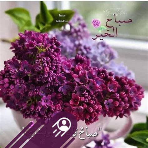 احمد شاهين Facebook