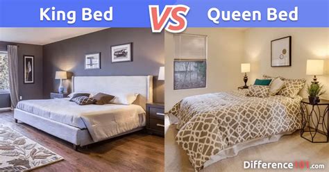King Vs Queen Bed Difference Dimensions Pros And Cons Difference 101
