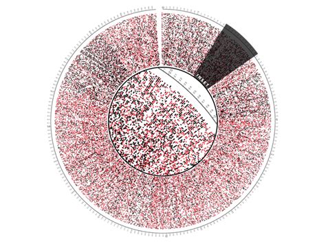 Applications Of Circos Circos Circular Genome Data Visualization
