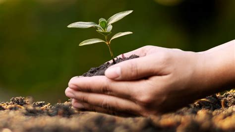 Social Commitment And Transformative Actions