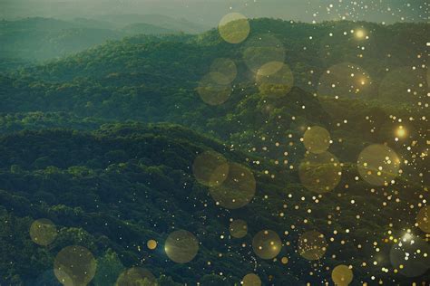 A New Heavy Rare Earth Is Discovered In Chinas Bayan Obo Region Fastmarkets