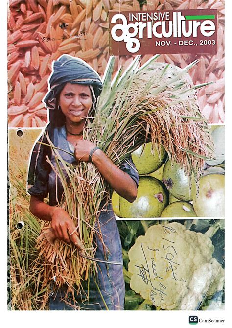 Pdf Insect Pests Of Cabbage Cauliflower And Their Management Intensive Agriculture