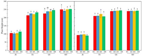 Effect Of Maize Canopy Structure On Light Interception And Radiation