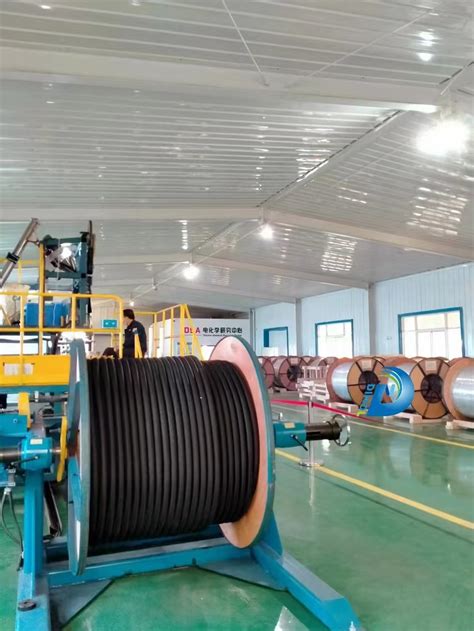 Custom Polymer Conductive Flexible Anode