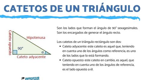 Qué Es Un Cateto De Un Triángulo Y Ejemplos