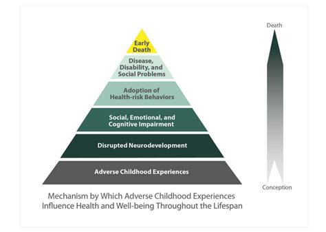 The Impact The Foundation For Survivors Of Abuse Fsa