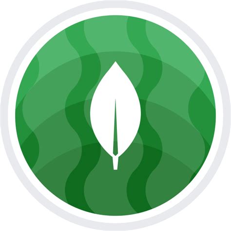 MongoDB Atlas On Google Cloud Google Cloud Skills Boost