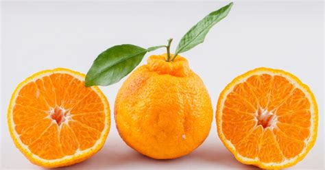 ‘겨울 보약 귤좋은 걸로 잘 먹는 법