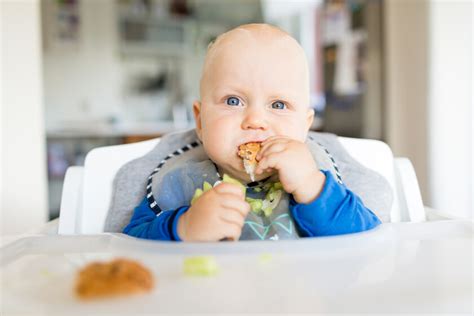 A Partir De Los Seis Meses Tu Bebé Puede Comer Casi Lo Mismo Que El Resto De La Familia