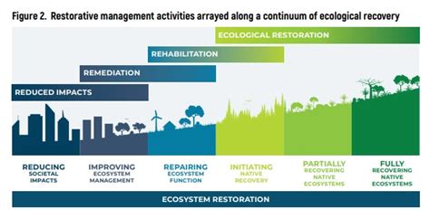 Standards Of Practice To Guide Ecosystem Restoration A Contribution To