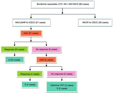 Flow Diagram Of Inclusion Of NAC NAR Combined Treatment Mode And NACR Download Scientific