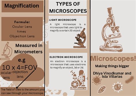Microscope Basics Light And Electron Types Explained Bio101 Studocu Microscope Basics Light And Electron Types Explained Bio101 Studocu