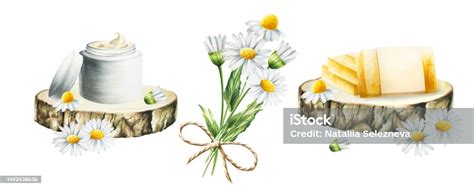수채화 물감 천연 수제 비누와 크림은 흰색 배경에 분리된 나무 톱에 카모마일을 곁들였다 데이지 꽃다발 미용 제품 및 식물학 요소 미용 및 의학 디자이너 스파 장식 엽서